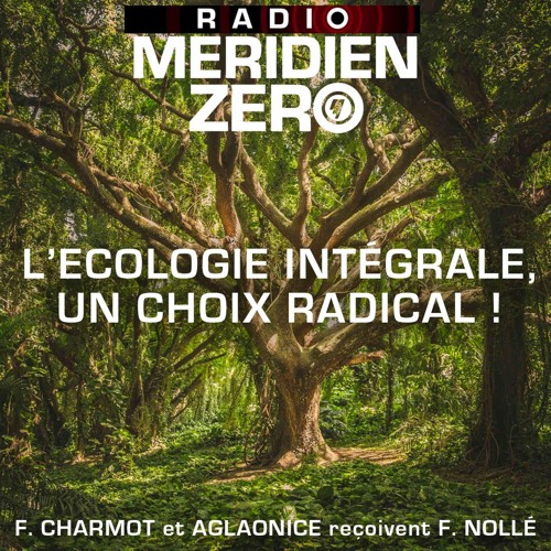 Stream Emission n°470: "L'écologie intégrale, un choix radical!" by ...