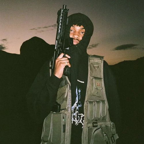 Stream $not - a song nobody cares about by unknown | Listen online for ...