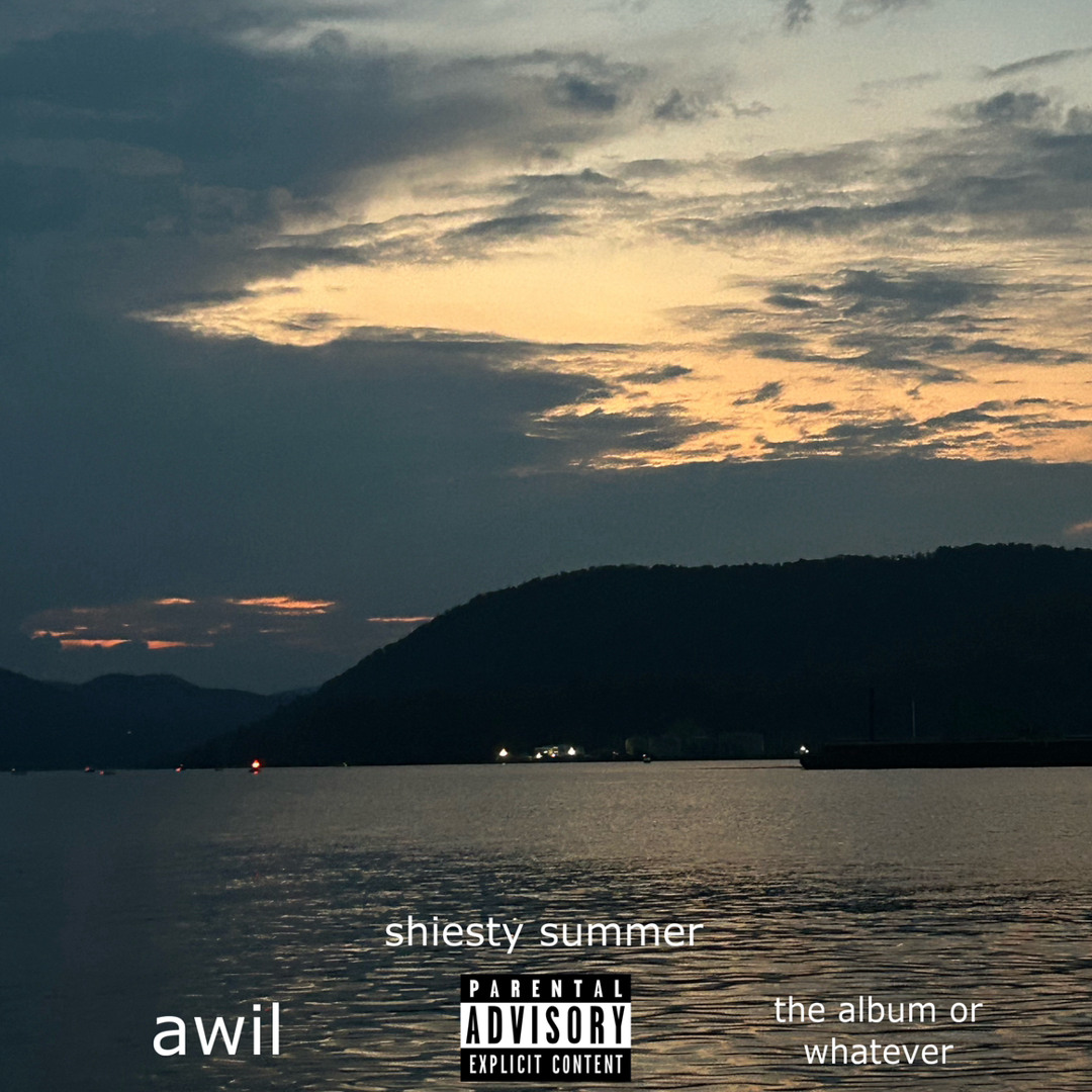 Stream AWIL 2024 (prod. classik) by awil | Listen online for free on ...