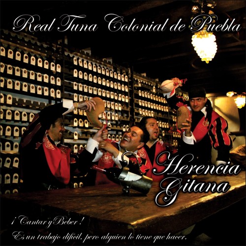 Stream El Toro y la Luna by Real Tuna Colonial De Puebla | Listen ...