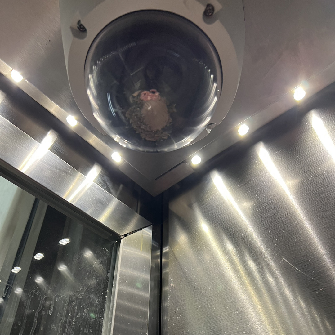 Stream Spiral.inGmajor by speedwalker | Listen online for free on ...