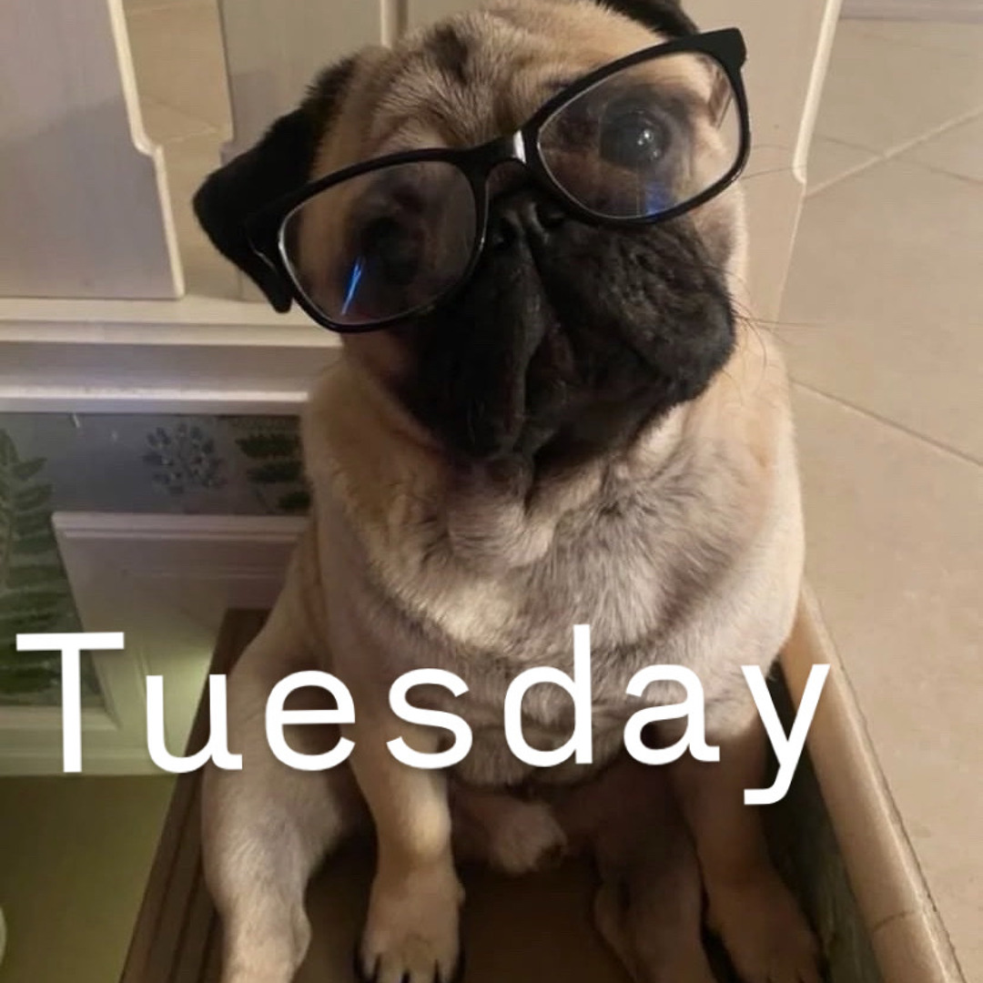 Stream Tuesday cover by pcg n slumdog 100% by pigchristgod | Listen ...