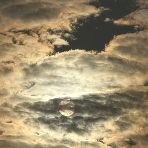 Stream Monster - Katie Sky(RainG Remix).mp3 by Bosco白羊 | Listen online ...