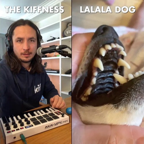 Stream The Kiffness x Lalala Dog - Lalala (Live Looping Singing Dog ...