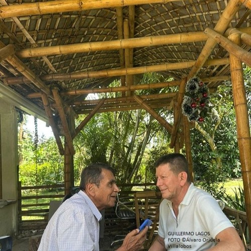 Stream Palma con alma!. GUILLERMO LAGOS by revistaagrollanos.com | Listen online for free on ...