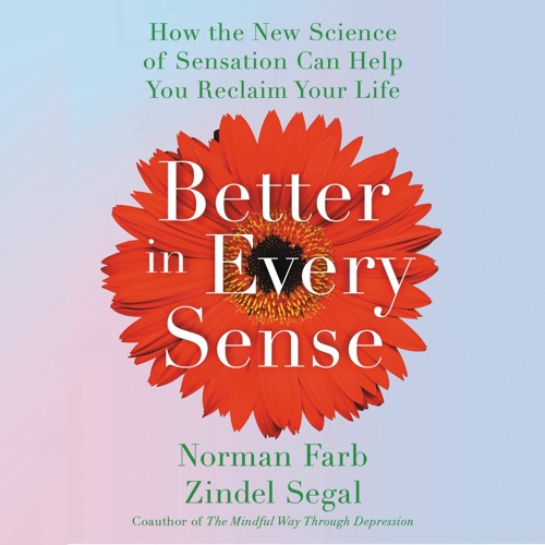 Stream Better in Every Sense By Norman Farb, PhD, Zindel Segal, PhD ...