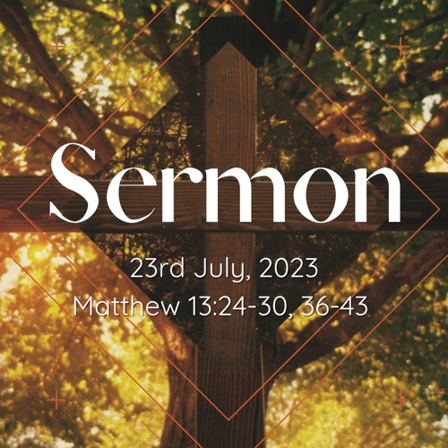 Stream Sermon 23rd July, 2023 - Matthew 13:24-30, 36 - 43 by Anglican ...