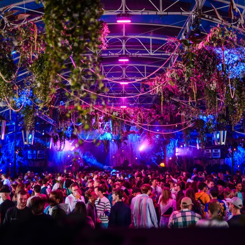 Stream Into the Woods Festival | Listen to Into the Woods ADE Festival ...