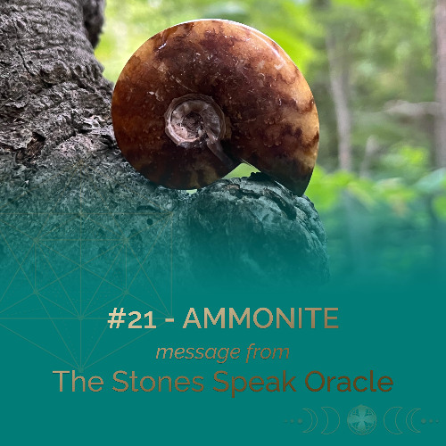 Stream 21 - Ammonite - the Stones Speak Oracle by Lori A Andrus ...