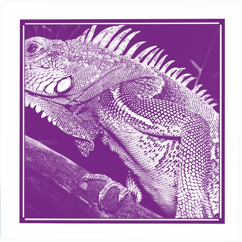 Stream B3 FEEL FREE HI FI - CHIPHEADS by Digital Sting Records | Listen ...