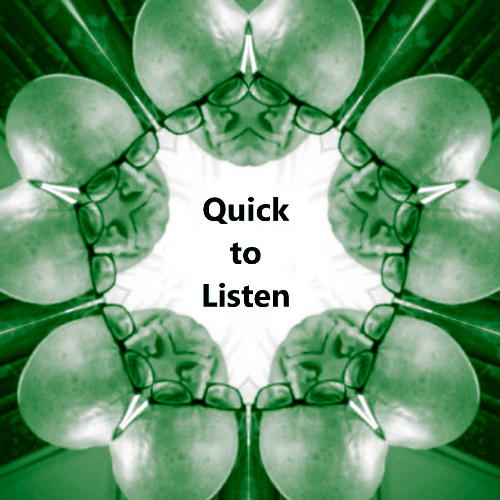 Stream Quick to Listen by Harry James Pridmore | Listen online for free ...