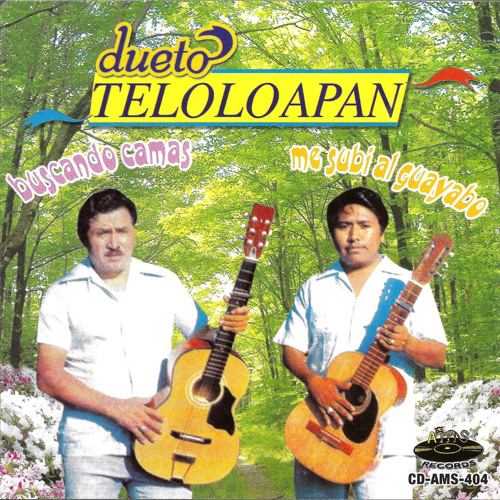 Stream El Picho Martinez by Dueto Teloloapan | Listen online for free ...