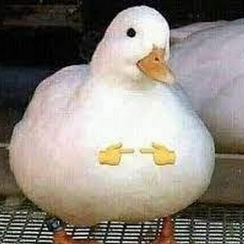 Stream El Pato - Remix By Facundo Masri by facu.masri | Listen online for free on SoundCloud