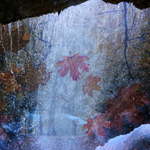 Stream Falling Beauty (Revisited) by Brian Burman | Listen online for ...