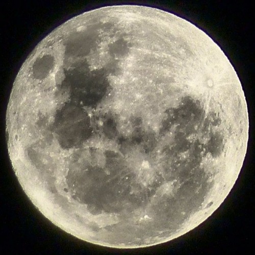 Stream [FREE] Lil Uzi Vert x Playboi Carti x Oogie Mane Type Beat ...