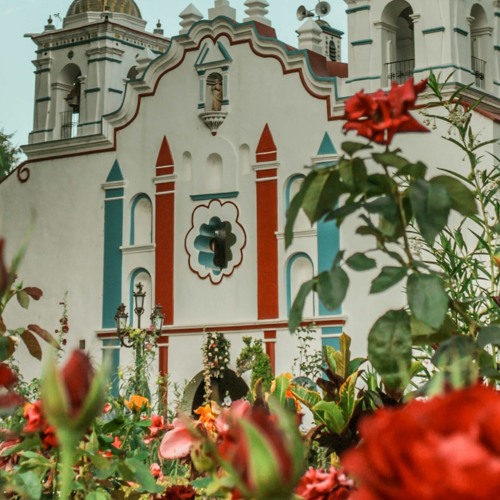 Stream Cozumel Calling by Brian Bunker | Listen online for free on ...