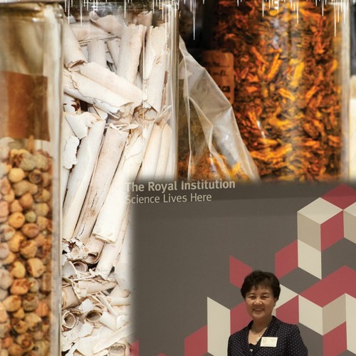 Stream episode Dr Yu-Ling Ma | The Power of Traditional Chinese ...
