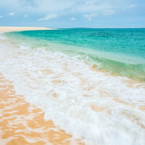 Stream Corporativa, | Listen to Pipida cartoon class Spanish movie ...