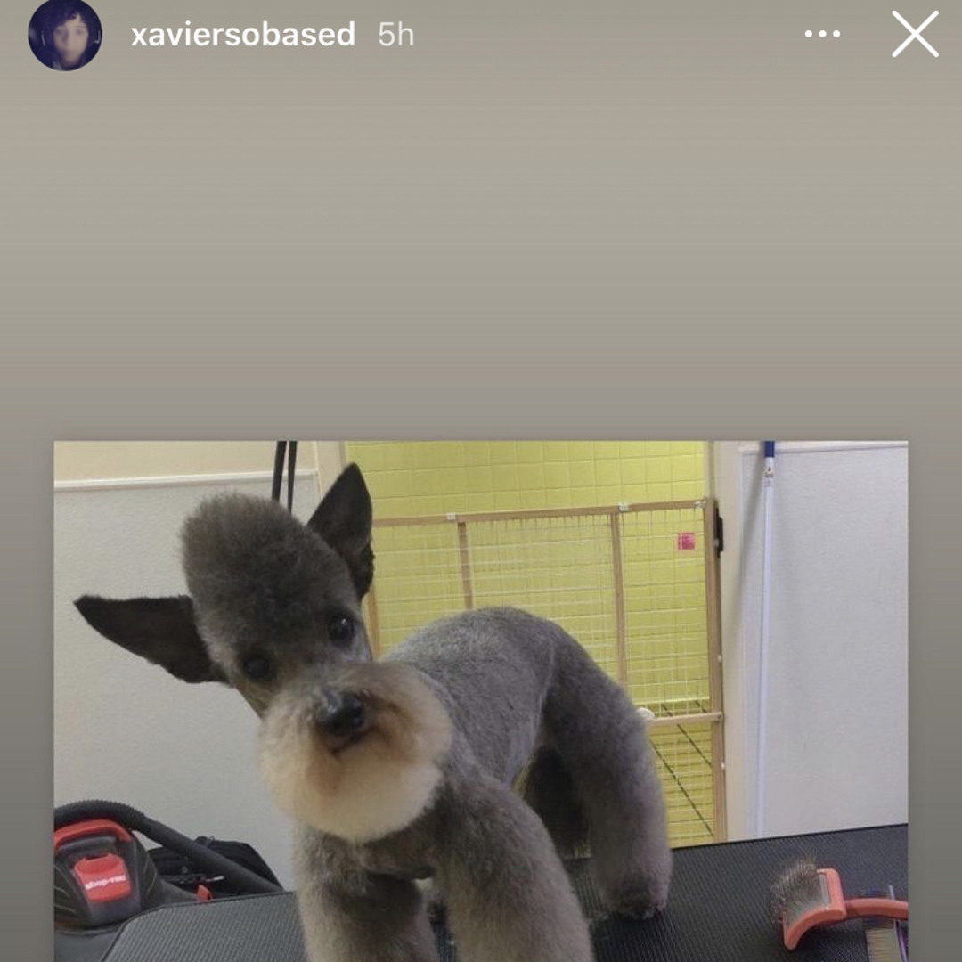 Stream xaviersobased mix 😑 by 130¹ᶜ | Listen online for free on SoundCloud