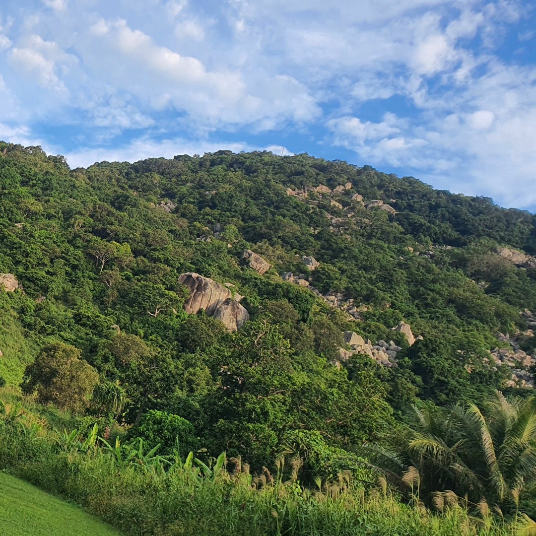 Stream Wrench Mau - Simakal Padanu Wami 🦅⛰️🌿 by Bala D12 Mau | Listen ...