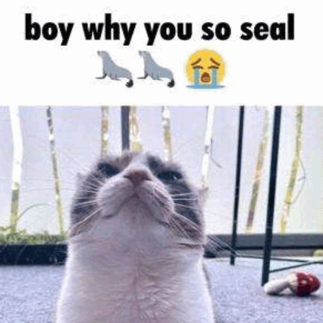 Stream u could nvr - suban by lothric | Listen online for free on ...