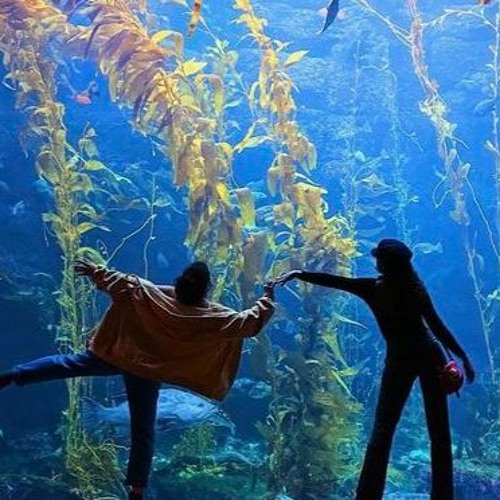 Stream the happiest i've ever seen her by lex jimenez | Listen online ...