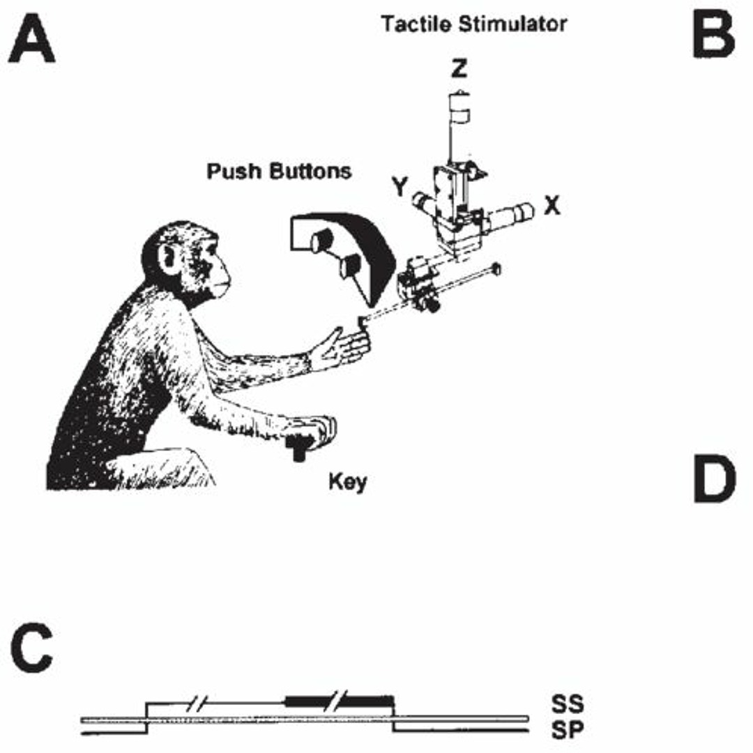 Stream Raised By The World Wide Web by crustsox | Listen online for ...