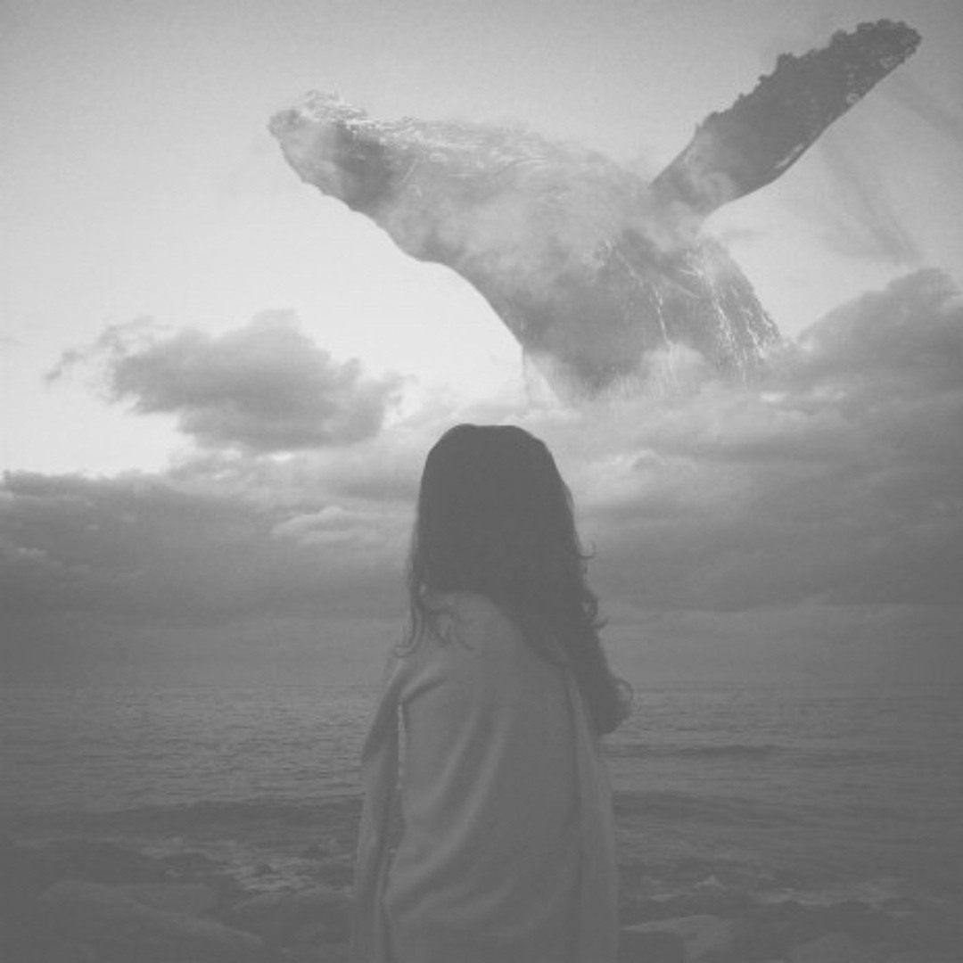 Stream SymphoCat - Long Whale Song (Slowed + Reverbed) by jacoubek07 ... Stream SymphoCat - Long Whale Song (Slowed + Reverbed) by jacoubek07 ...
