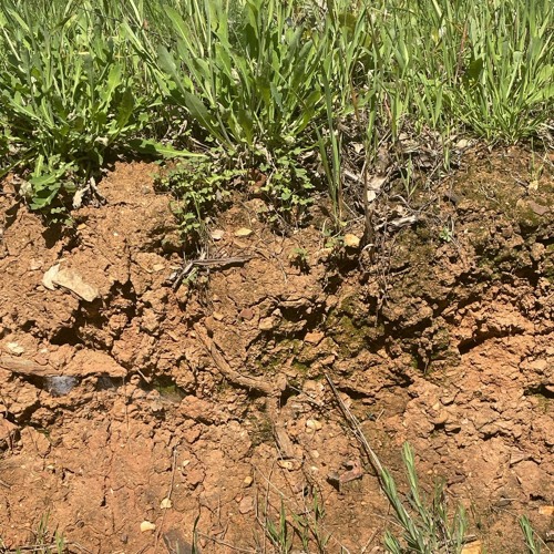 Stream Human&non human work together by Yuxin Pan | Listen online for free on SoundCloud