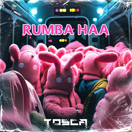 Stream Rumba Haa by TOSCA | Listen online for free on SoundCloud