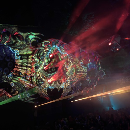 Stream Hicham Haidouri | Listen to Psy/forest 2024 playlist online for ...