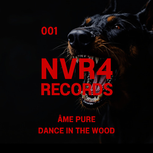 Stream Dance in the Wood / NVR4 RECORDS 001 by Âme Pure / Dj & Producer ...