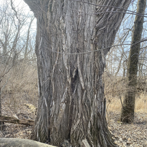 Stream Pile of Old Movies On a Table On a Saturday Night by 333 ...