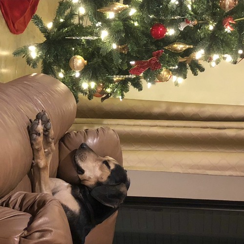 Stream Matt Keech | Listen to Closure playlist online for free on ...