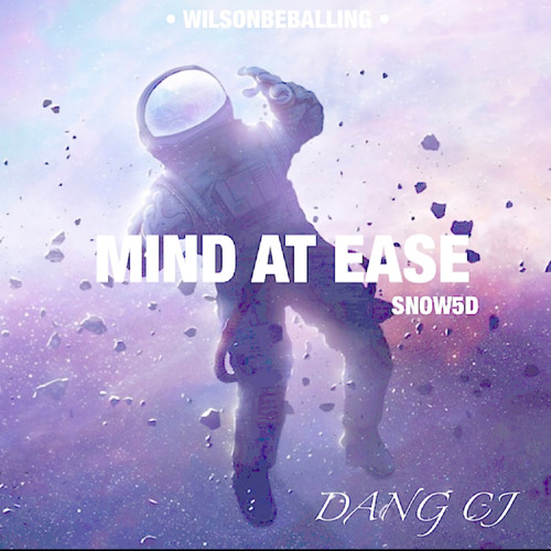 Stream Dang CJ, WilsonBeBalling, Snow5D - Mind At Ease by ...