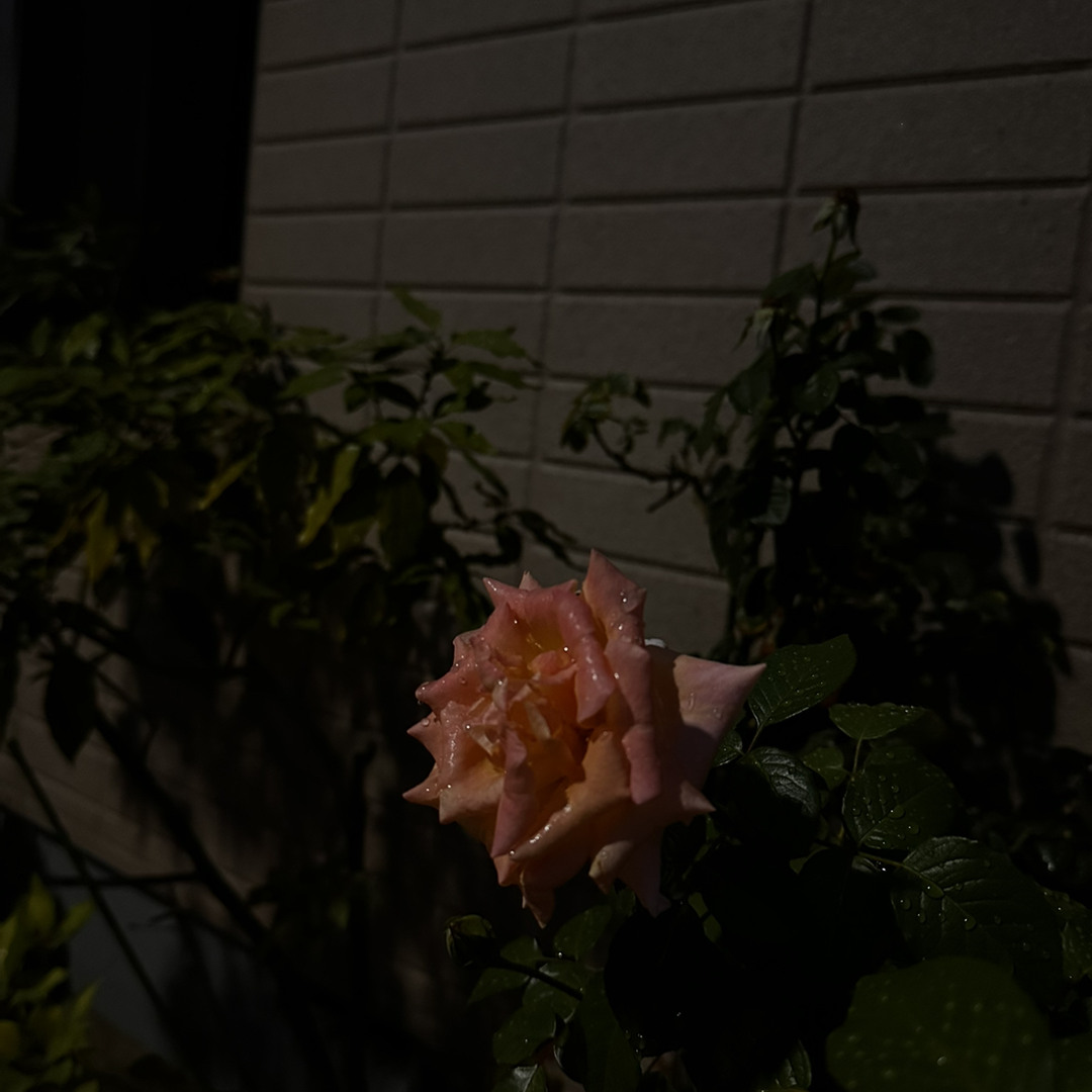 Stream Lory holding ft.Tuuguu by Lory | Listen online for free on ...