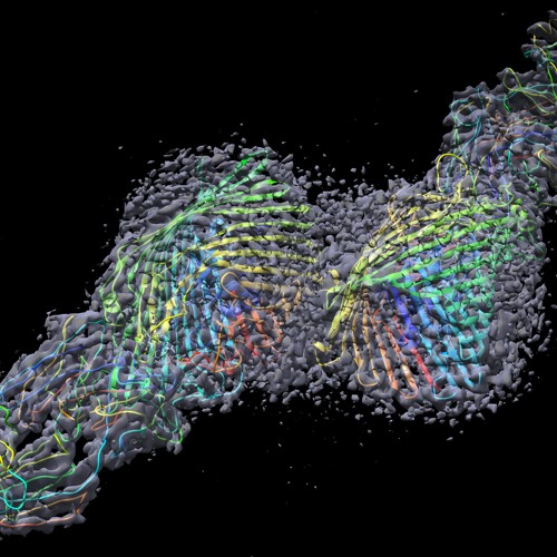 Stream In a rush by Petza | Listen online for free on SoundCloud