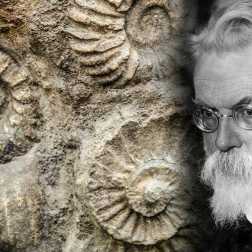 Stream episode Explorations into Anti-Darwinian Evolution with Vladimir ...