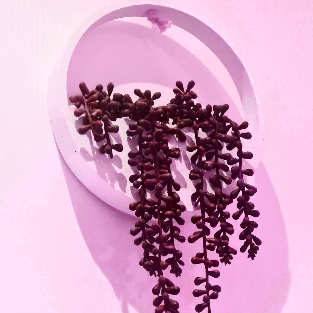 Stream 01010101 (demo) by ⬤•.ge-7?.•⬤ | Listen online for free on SoundCloud