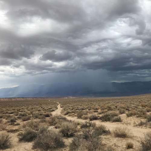 Stream My Child - Demo by Brent Calloway | Listen online for free on ...