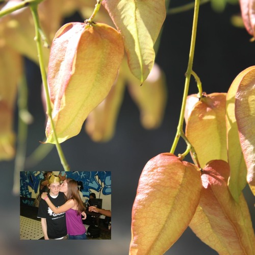 Stream SPERGWORLD RECORDS | Listen to special boy - NEW SPECIAL BOY ...