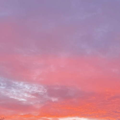 Stream Bluey Pink.aiff by Anthony Raymondo | Listen online for free on ...