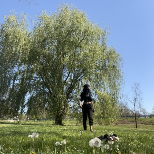 Stream Zion Shadé - Colors by zion shadé | Listen online for free on ...