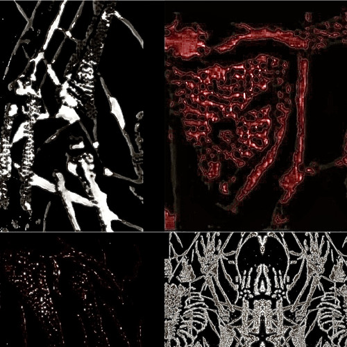 Stream Rituals | Listen to Anthropophagite playlist online for free on ...