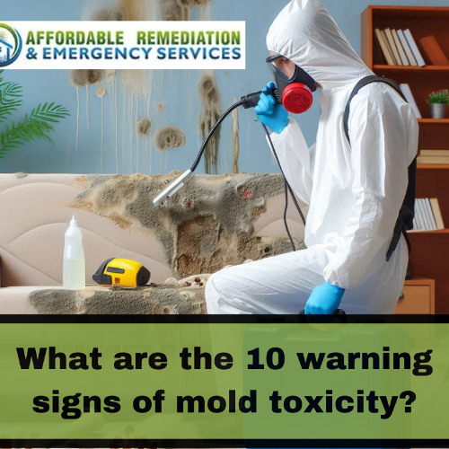 Stream episode What are the 10 warning signs of mold toxicity by ...