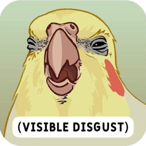 Stream Dont Look Back In Time 8b Ll Kill The Noise Champagne Drip By Kittydripwubz Listen