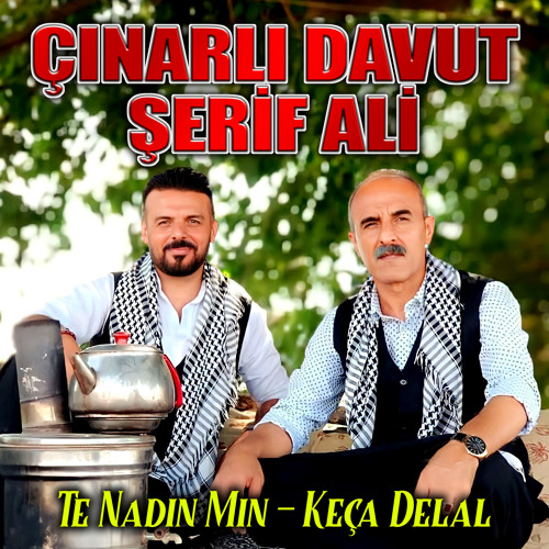 Stream Te Nadın Mın (Keça Delal) [feat. Şerif Ali] by Çınarlı Davut ...