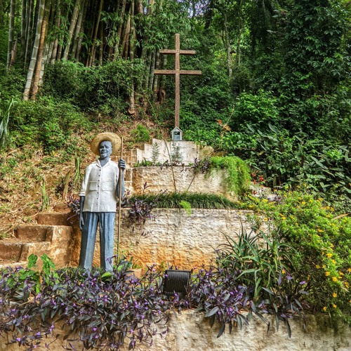 Stream 25 O Brilho Das Estrelas By Bryan Oliveira Listen Online For