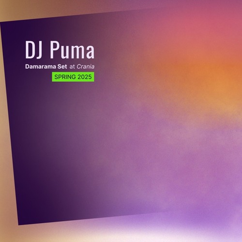 Stream Dj Puma - Damarama Set at Crania 07032025 by reginapuma | Listen ...