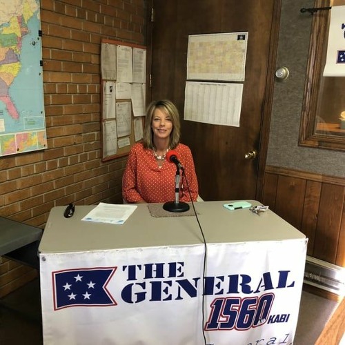 Stream INSIDE DICKINSON COUNTY BRENDA WEAVER AND DR HOLMES by JVINDUSKA ...